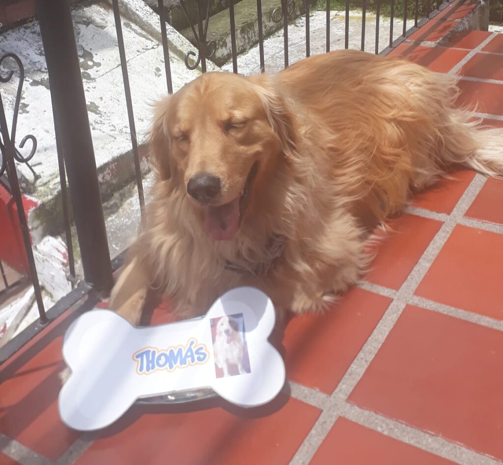 Ancheta Thomas – Papelería Crearte